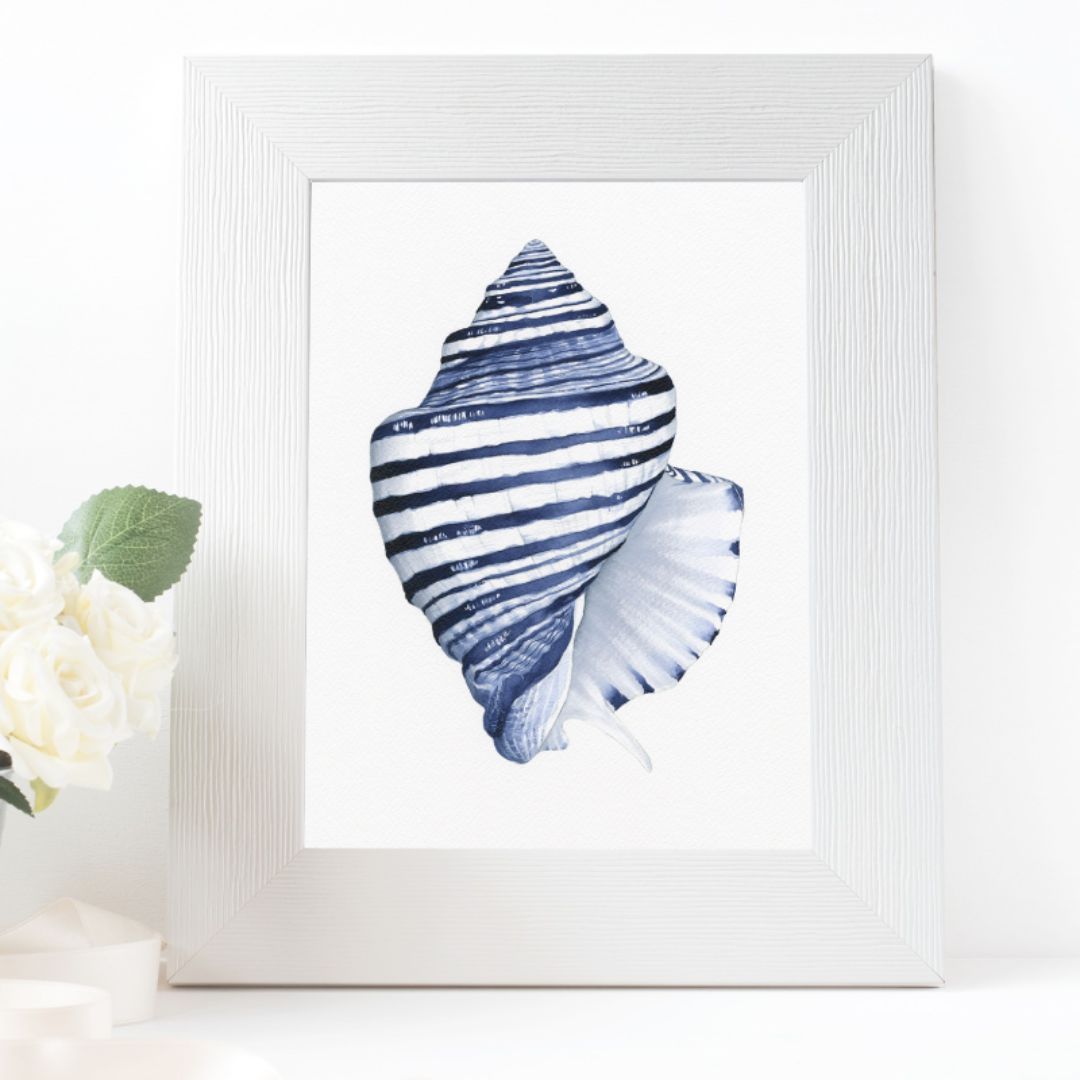 Conch Shell Blue and White Art Print | Hamptons Home