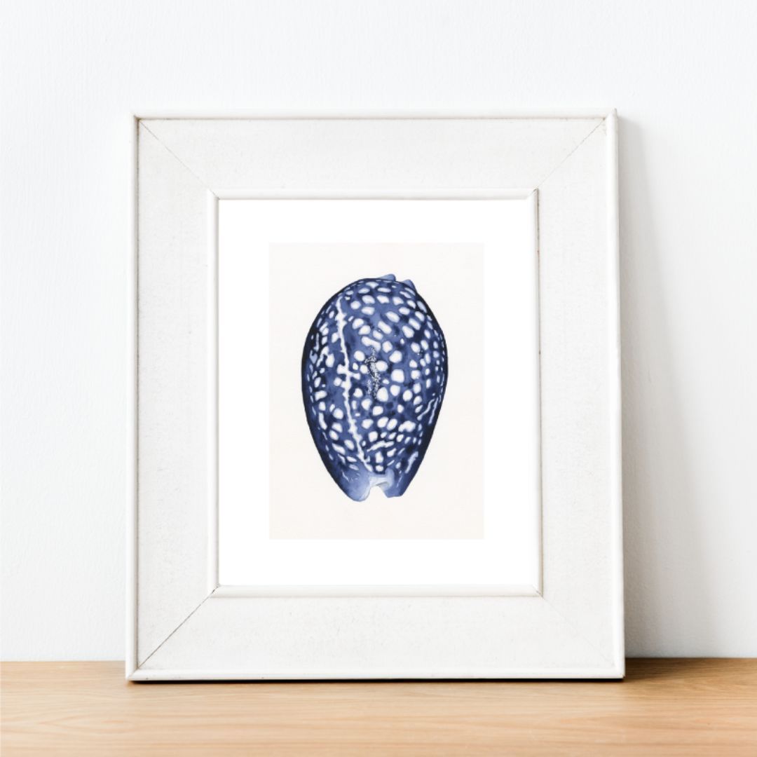 Paua Shell Blue and White Art Print | Hamptons Home